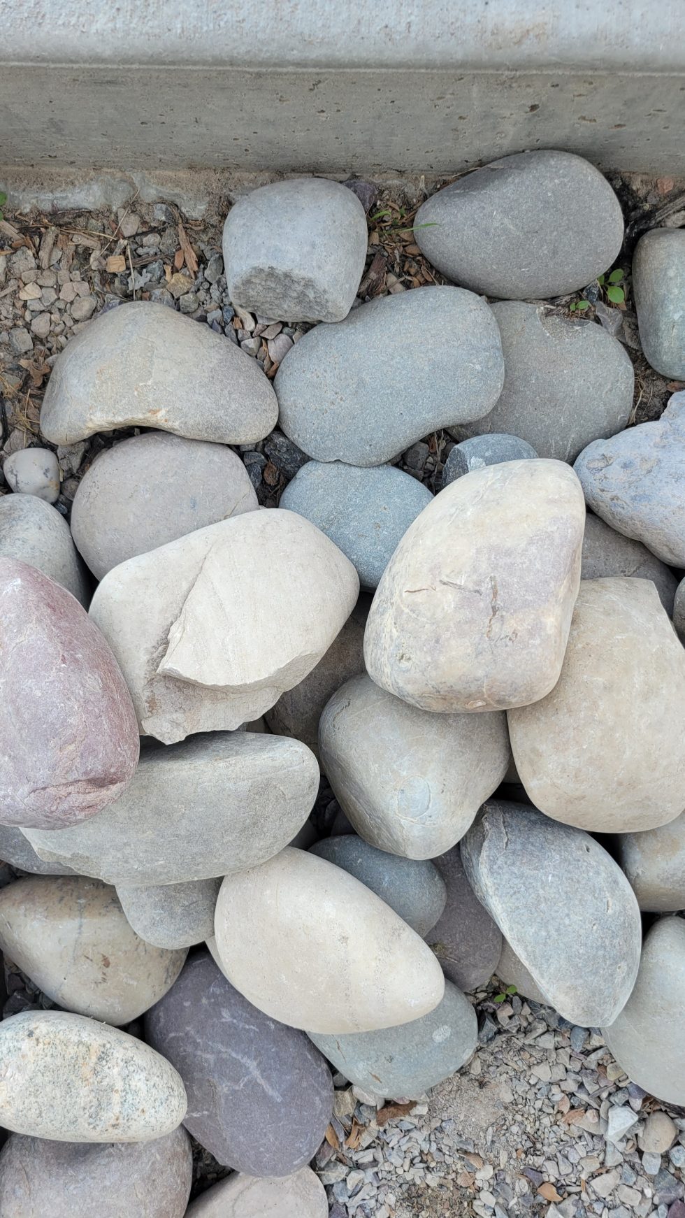 Decorative Landscape Rocks in Idaho Falls | Wolverine Rock